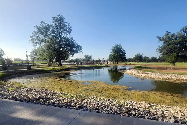 Planning Your 2025 Lake Management Strategy: A Proactive Approach for ...